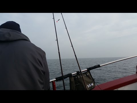 Dorschangeln auf der MS Einigkeit