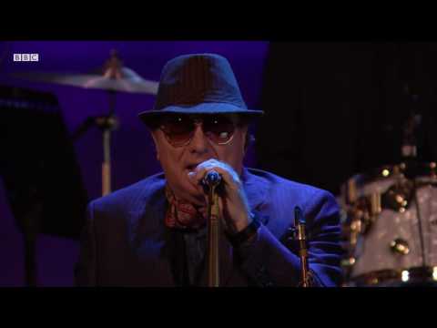Van Morrison / Keep Me Singing | 1001 RECORDS
