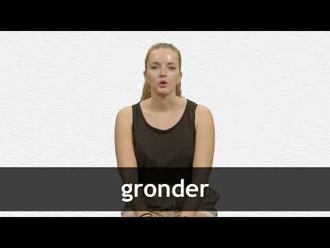 English Translation of “GRONDER” | Collins French-English Dictionary
