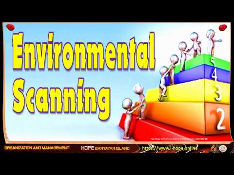 Environmental Scanning | Organization and Management