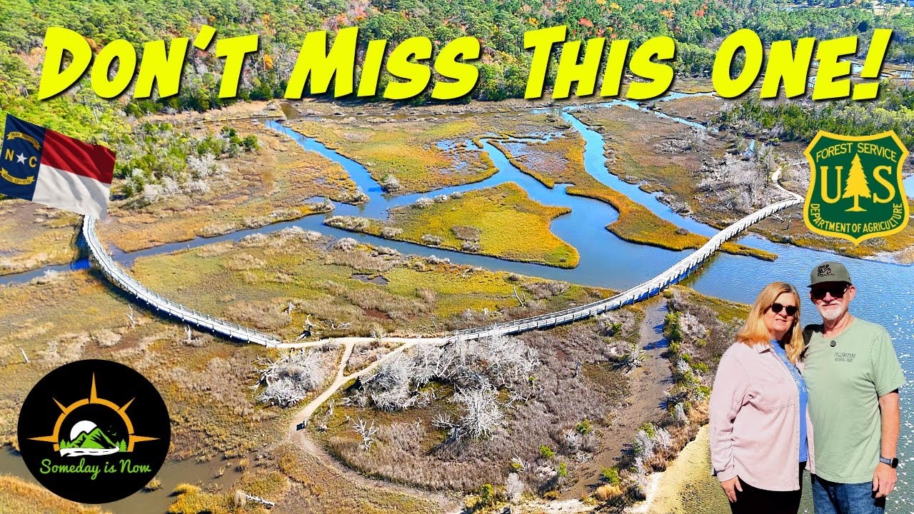 Cedar Point Campground Review | Best Camping Near Emerald Isle NC