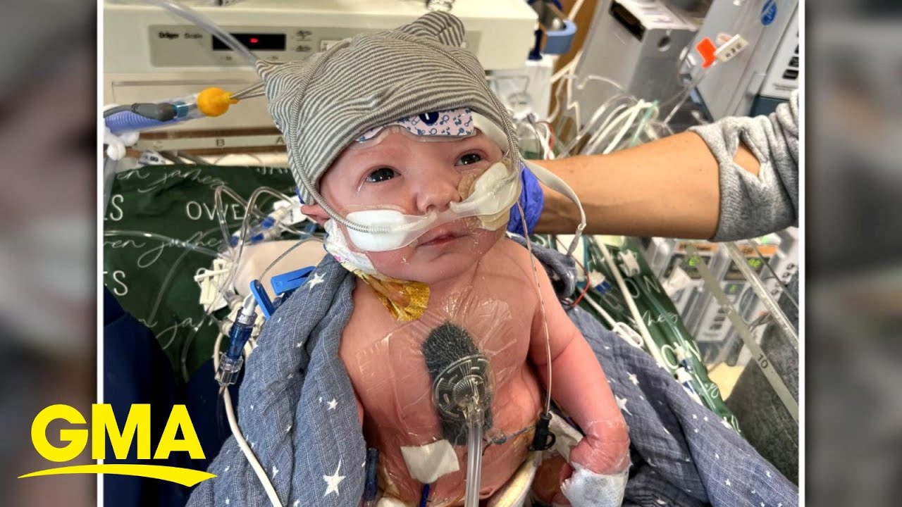 Partial heart transplant successfully grows in infant