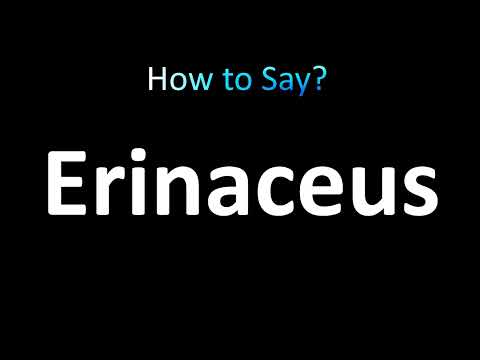 How to Pronounce Erinaceus