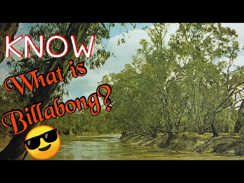 Billabong#KNOW what is billabong?🤔#everything about billabong