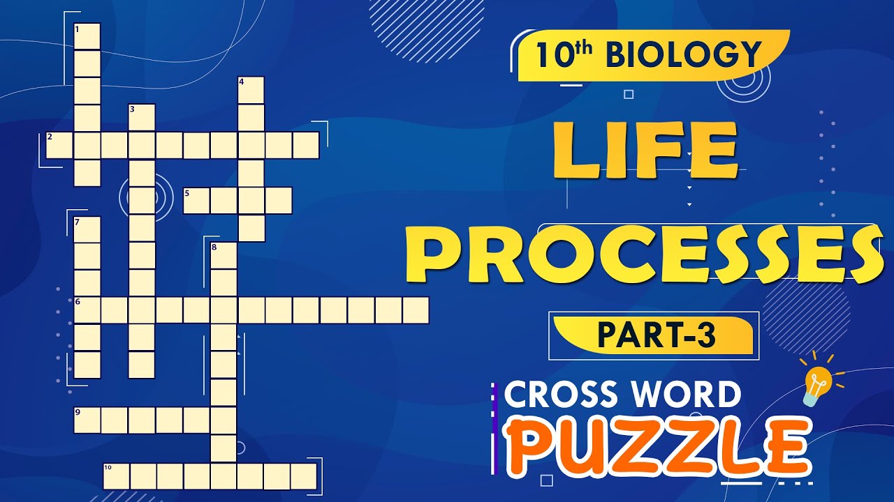 Life Processes Puzzle -3| Class 10 cbse | Biology crossword puzzle | Ncert class 10th | Gradebooster