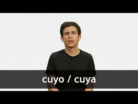 English Translation of “CUYA” | Collins Spanish-English Dictionary