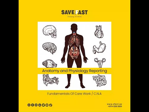 Anatomy and Physiology Reporting (CNA)