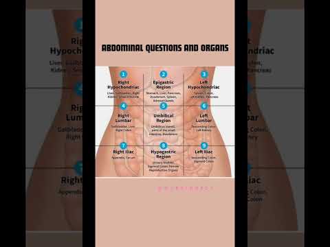The 9 Abdominal Regions