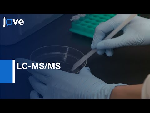 Nuclear Cofactor Protein Interactions Identification by LC-MS/MS | Protocol Preview