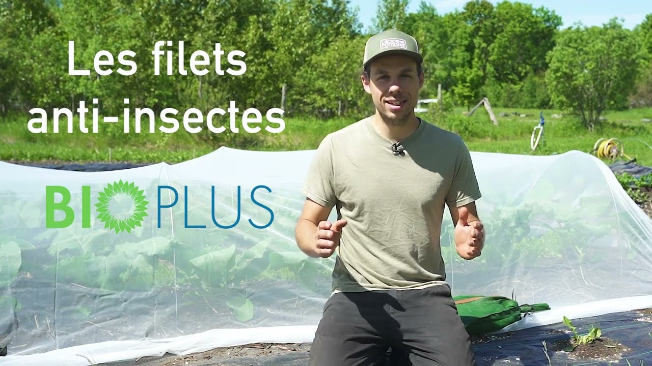 Les filets anti-insectes | Bio Plus