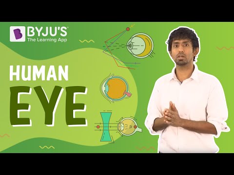 Introduction to Human Eye and the Colorful World,- Class 10 Science ...