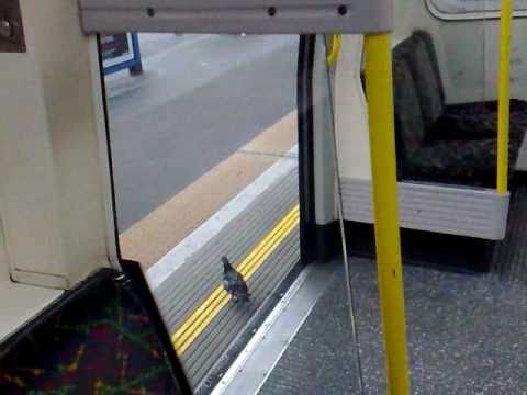 NoTicket2Ride