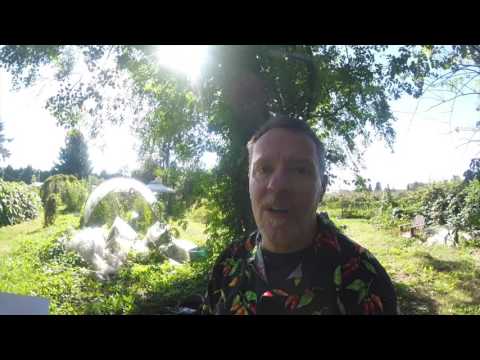 Go Grow Organic | Organic Growing Stories