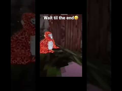 Your dog is so trash🤣-Reupload #gorillatag #oculusquest2