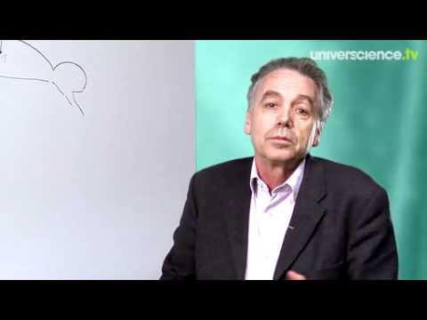 Le circuit de la récompense par Jean-Pol Tassin | Se Libérer Du Tabac