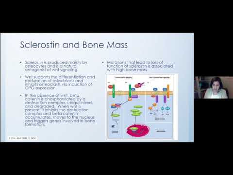 Dr. Elaine Pelley – Treatment considerations when using romosozumab