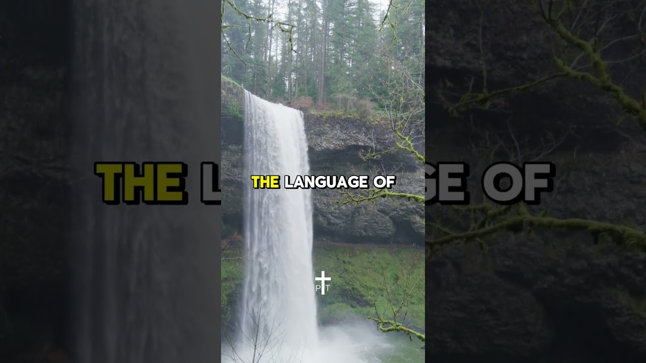 Individualism Is Weak... | Mar Mari Emmanuel |