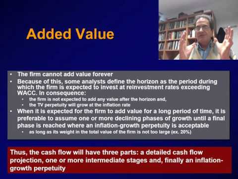 (9) HORIZON AND TERMINAL VALUE