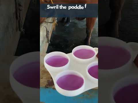 Mastitis Test Kit - California Mastitis Test Kit Latest Price ...