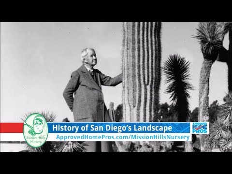 About Kate – Kate Sessions Trees