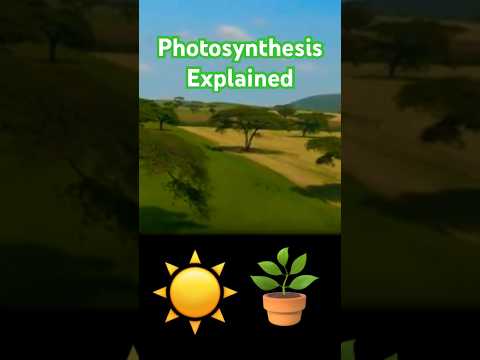 ☀️🪴 What is Photosynthesis? Photosynthesis Explained! Describe Photosynthesis #photosynthesis #esl