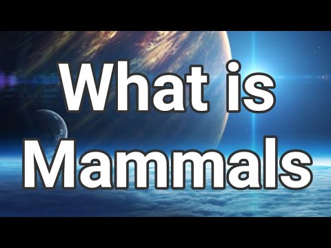 What is Mammals. Urdu/English