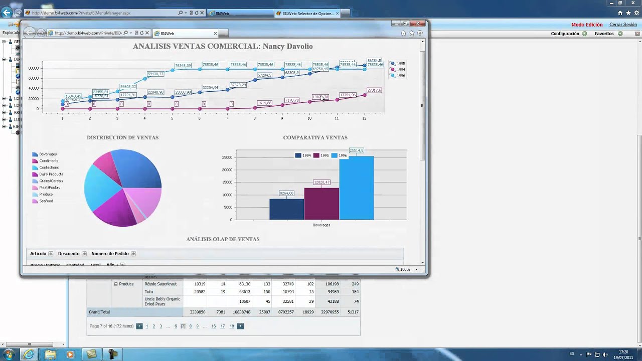 BI4Web Demo Online