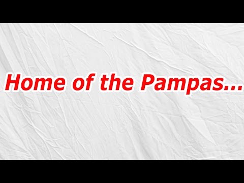 Home of the Pampas (CodyCross Answer/Cheat)