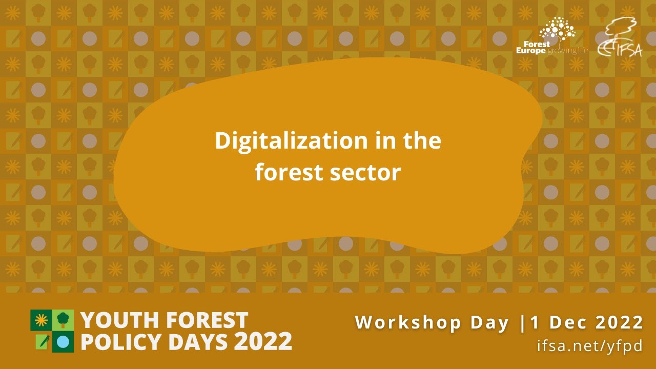 Digitatalization in the forestry sector  - Workshop Day -  YFPD
