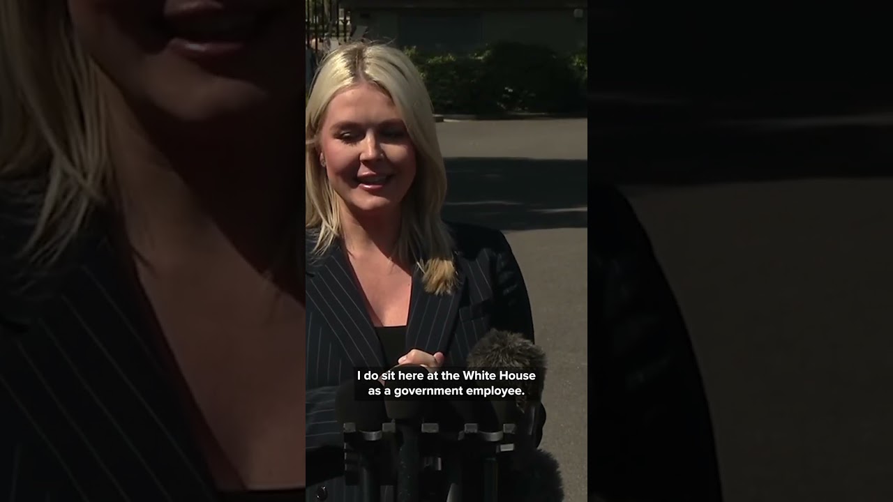 Leavitt says Trump has made with the results of Virginia redistricting results