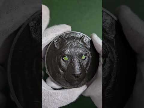 1/2 Kilos of Silver Black Panther Coin