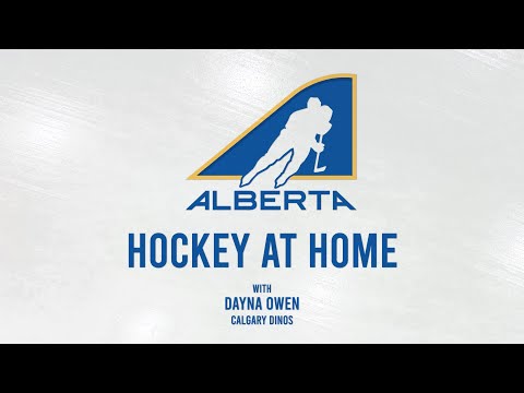 Hockey Alberta Hockey Goalie Skills - Recovery