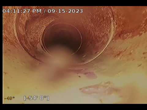 901 E Bloomingdale Ave, Brandon, Fl 33511 - After Second Repair