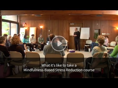 The Stress Reduction Program