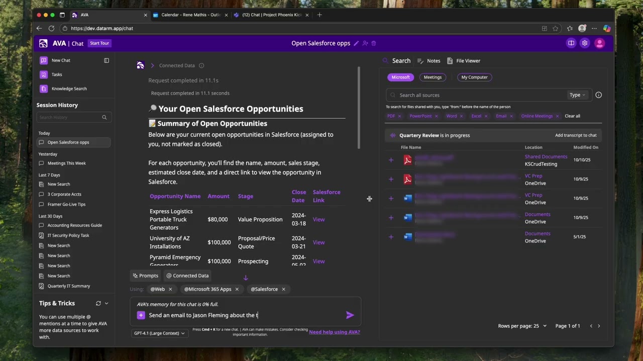 AVA Features - Salesforce