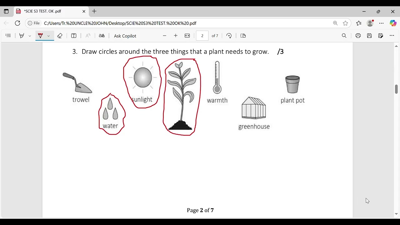 SCIE S3 TEST  OK  pdf   Profile 1   Microsoft​ Edge 2025 07 18 12 08 31