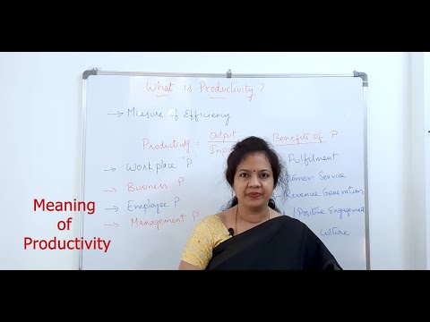 What is the Meaning of Productivity???