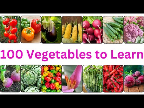 Discover 100 Must Know Vegetable Names