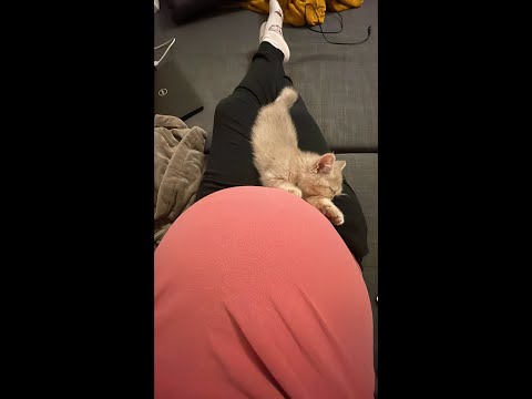 Two heart, one rhythm- Pamacs and the baby