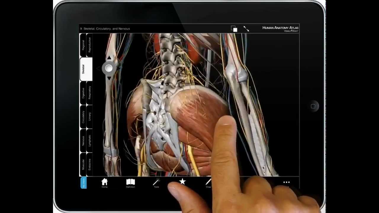 Human Anatomy Atlas - iPad tutorial