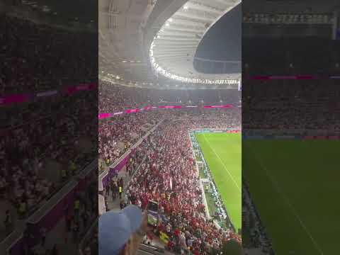 Entrando al impresionante Ahmed Bin Ali Stadium! #shorts #worldcup #qatar2022 #FIFA #stadium #travel