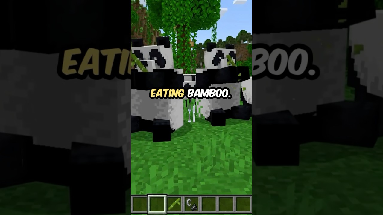 How to breed pandas in minecraft