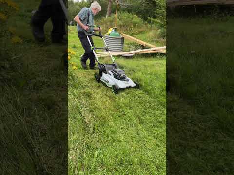 EGO 56-volt cordless mower in high grass (Set to 2-1/2 inches for test) #shorts #lawnmower #lawn