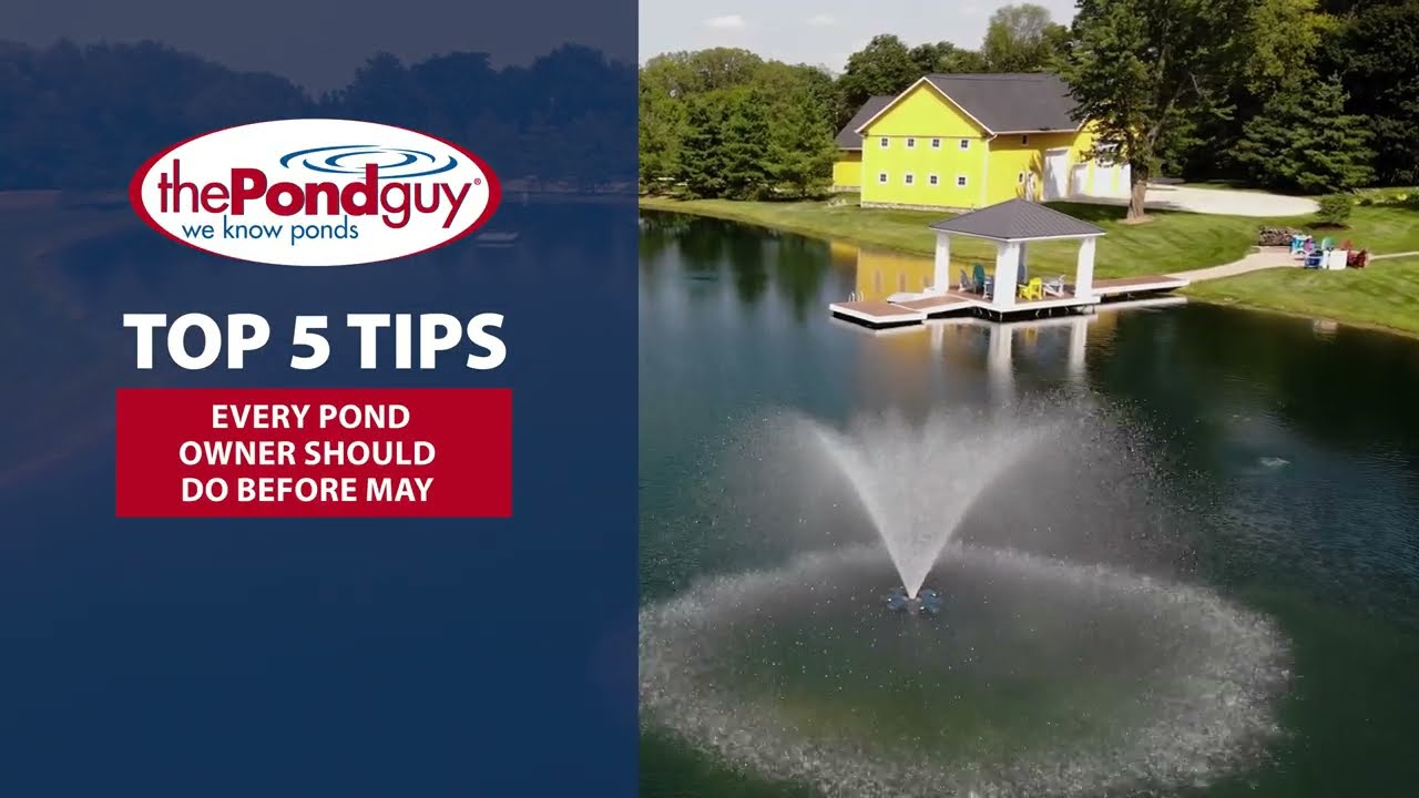 5 Essential Pond Maintenance Tips for Spring