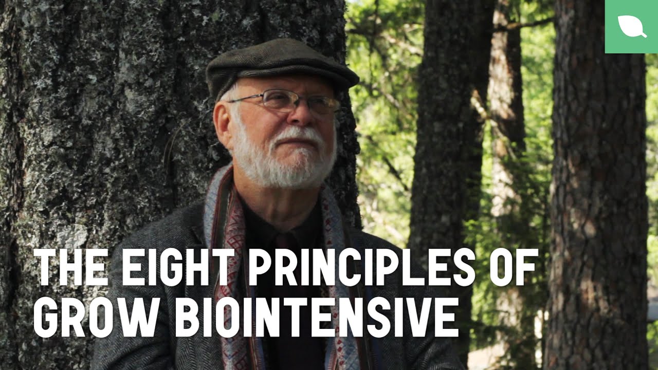 Interview: John Jeavons - Small-Scale Sustainable Agriculture | Sikana