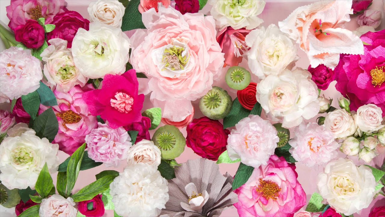 MOTION - Andrea Dameron | Photo Stylist + Designer