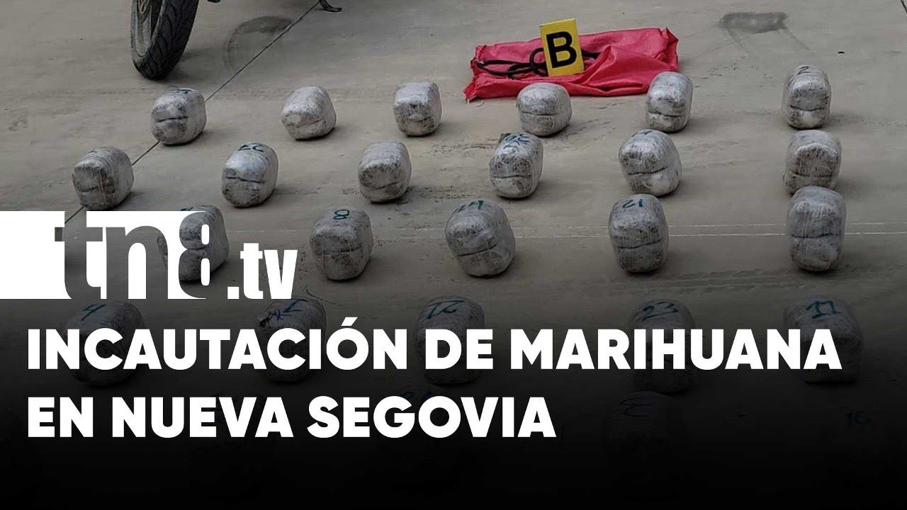 125 libras de marihuana incautada en Nueva Segovia - Nicaragua