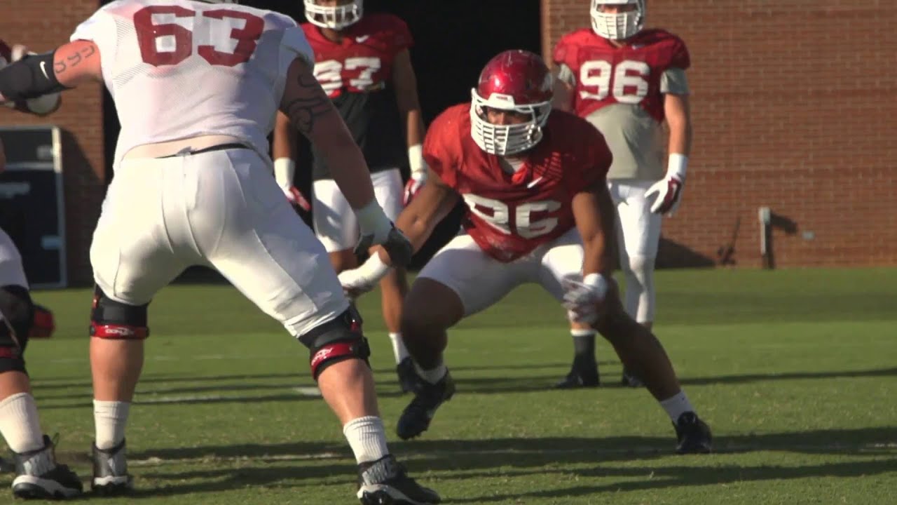 Mayo Clinic Sports Medicine - ACL Injury Prevention Program