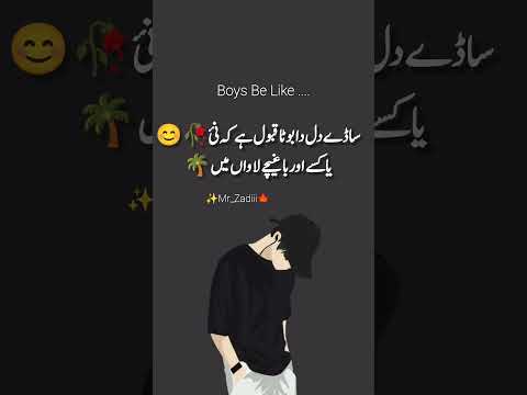 shade dilπ«da bota kabool ha ky nai ap Dillons song lyrics π #greenoutfit #unfrezzmyaccount #Mrzadiii