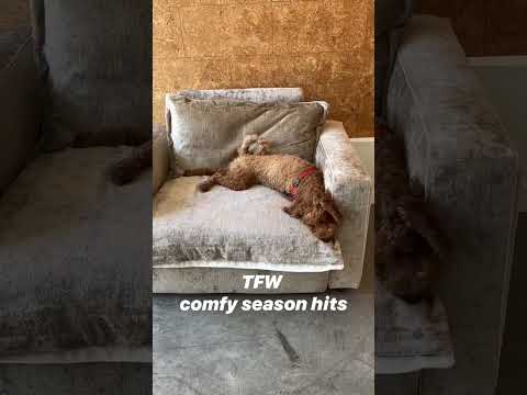 Homebody Comfy Season
